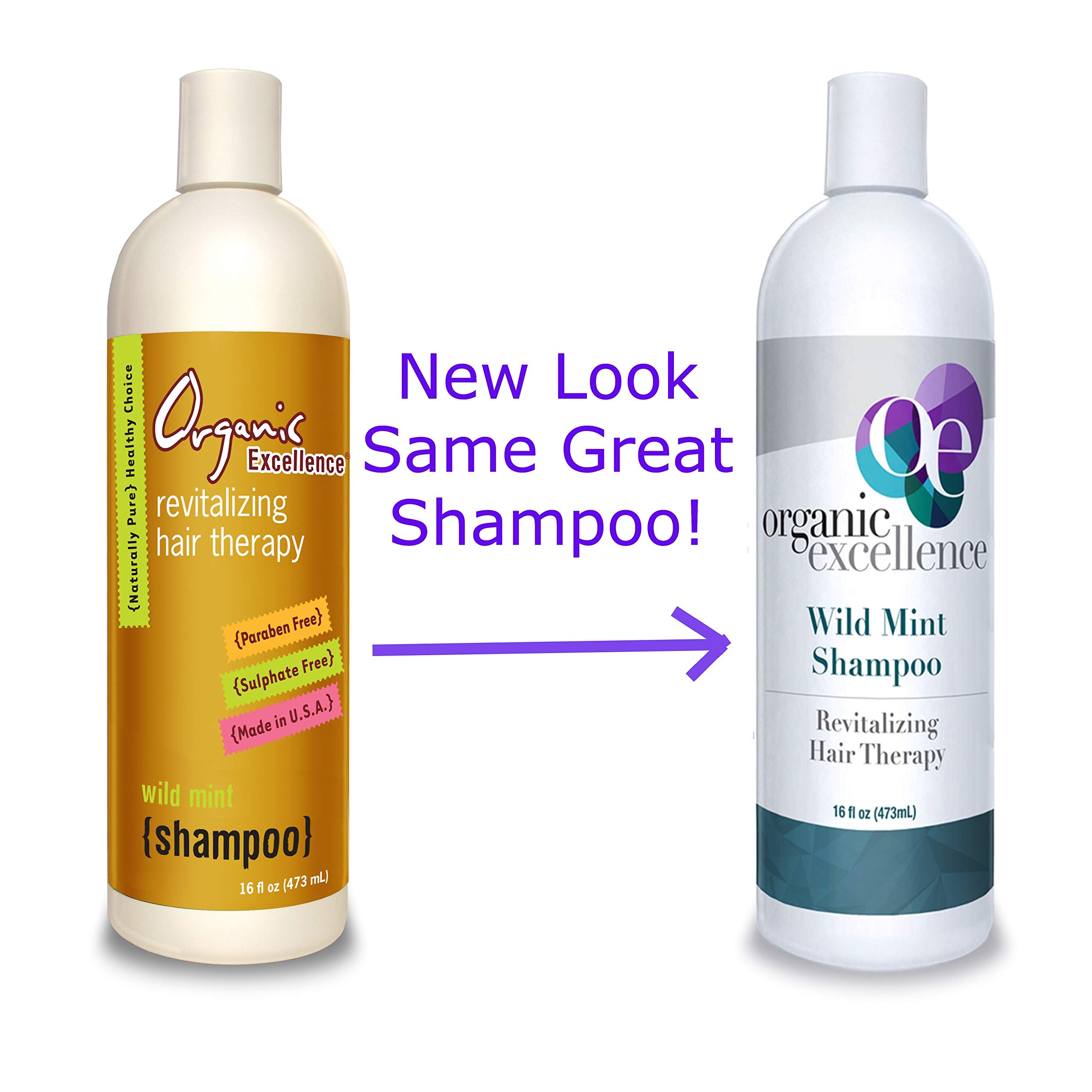 Organic Excellence WILD MINT SHAMPOO, Chemical and Sulfate Free, All Natural Color Safe - 16 oz