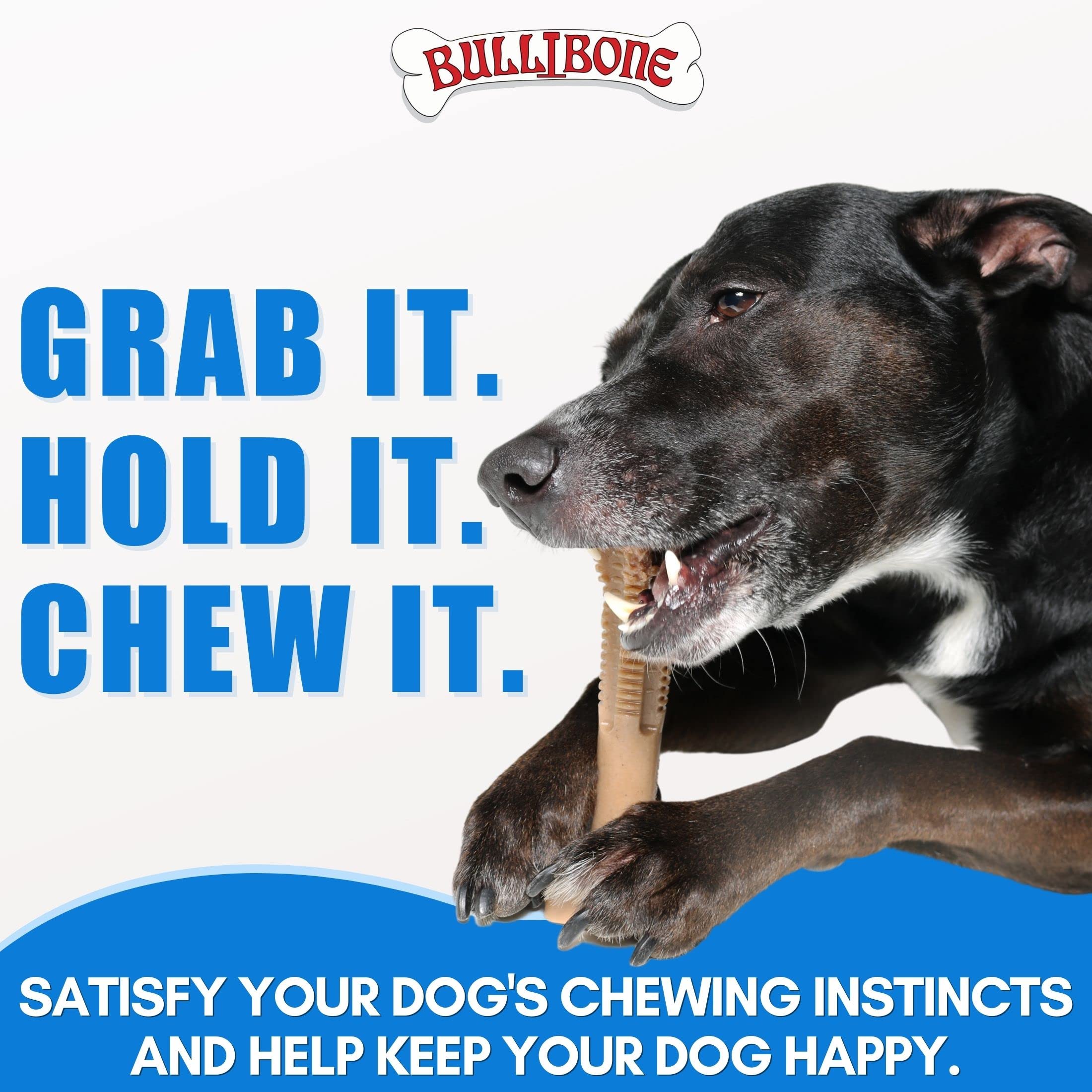 Bullibone All Stars XL Bundle - Improves Dental Hygiene, Easy to Grip Bottom, Four Delicious Flavors