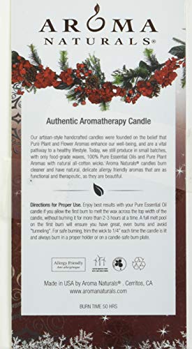 Aroma Naturals Holiday Orange, Clove and Cinnamon Essential Oil Scented Pillar Candle, Warm Spice, 2.5 inch x 4 inch