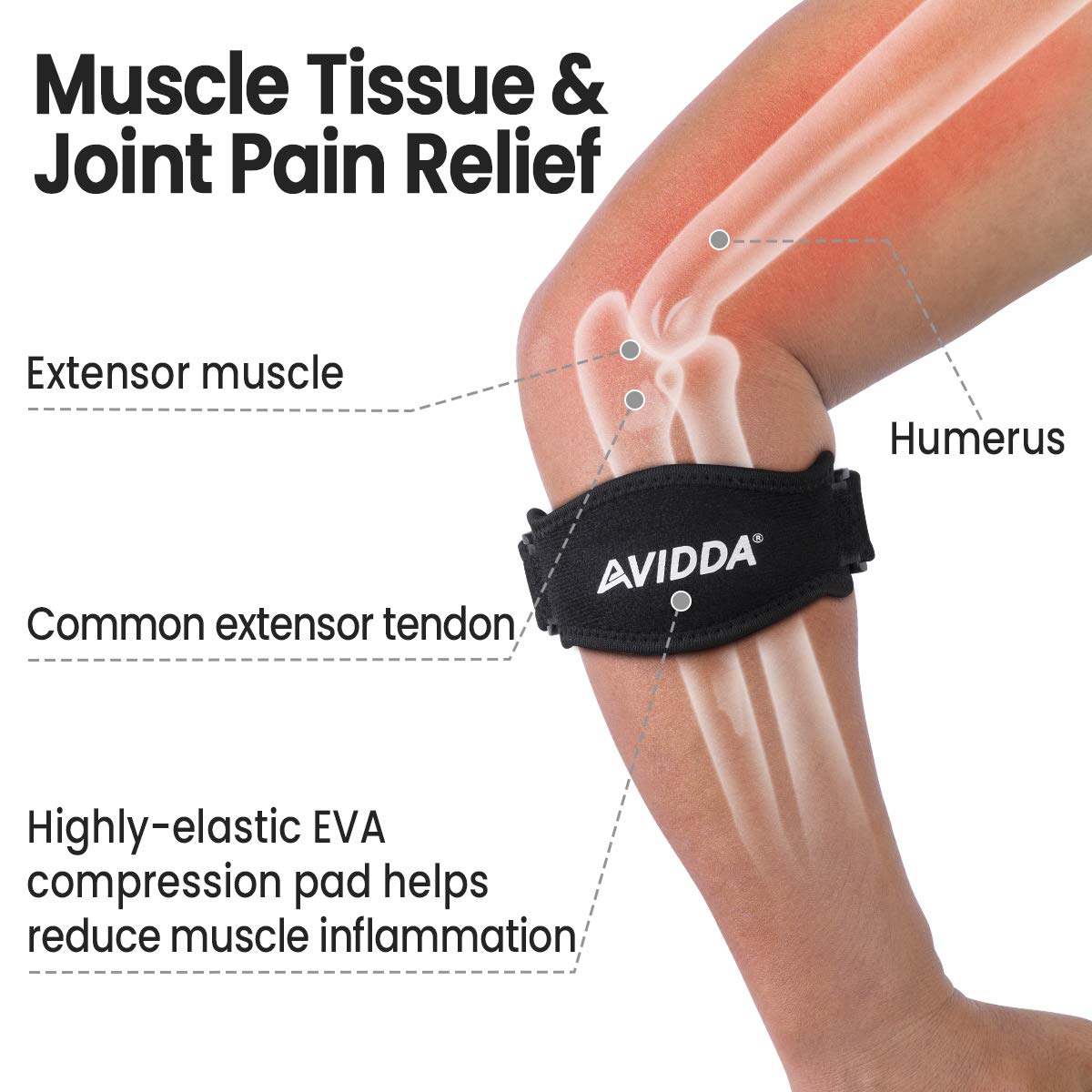 AVIDDA 2 Pack Tennis Elbow Brace with Compression Pad for Women and Men Golfers Elbow Brace for Tendonitis Pain Relief Purple