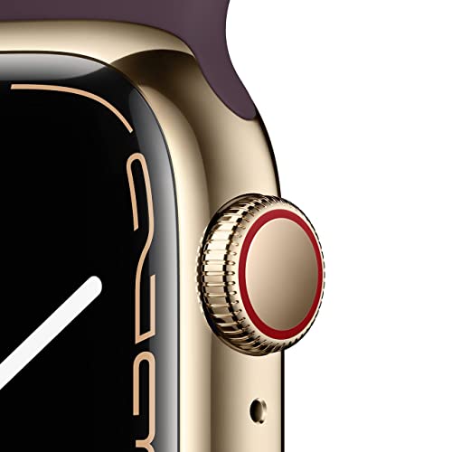 Apple Watch Series 7 (GPS + Cellular, 41mm) Gold Stainless Steel Case with Dark Cherry Sport Band, Regular (Renewed)