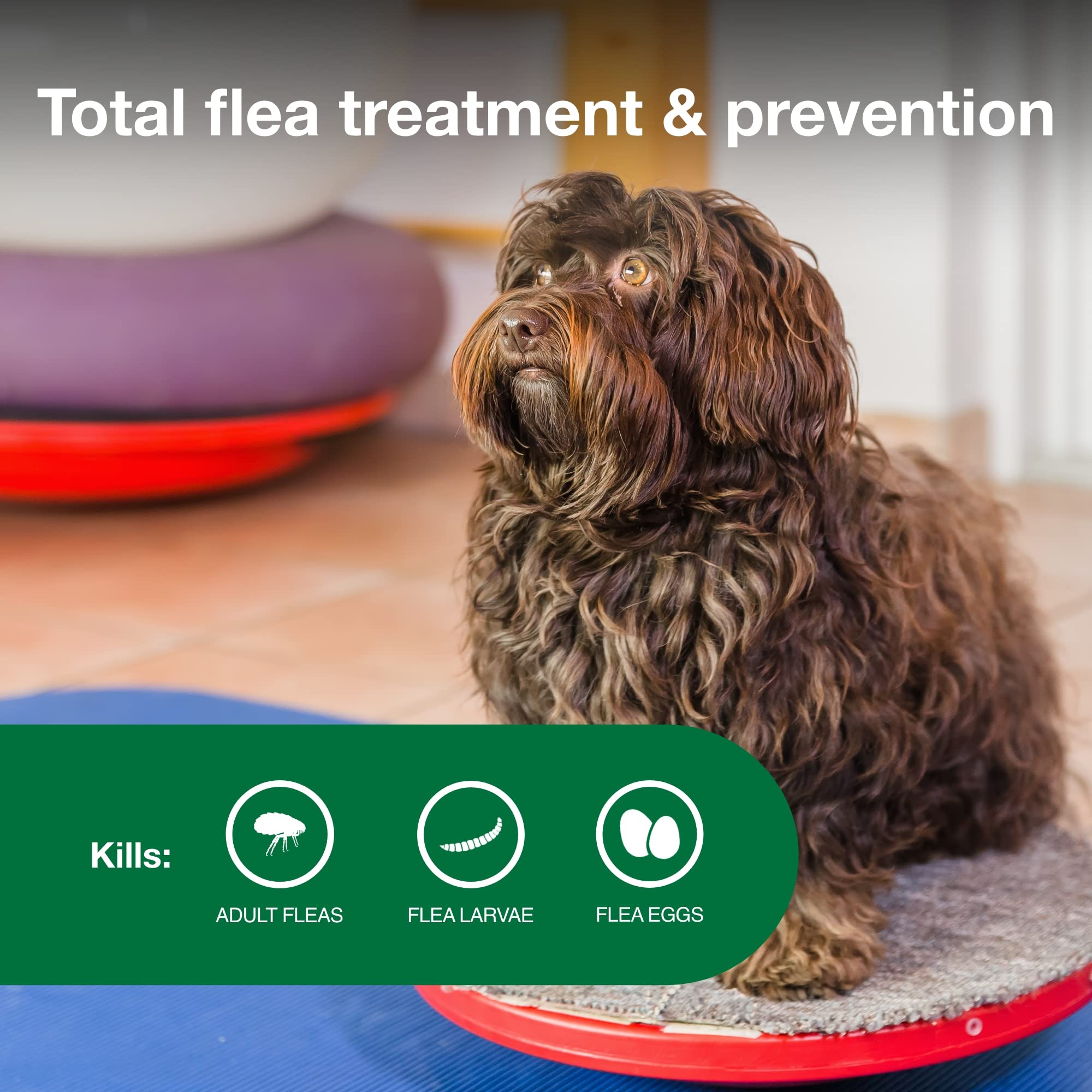 Bundle of Advantage II Small Dog| Dogs 3-10 lbs. | 4-Month Supply + Pet Protect Probiotic Balance+ Dog Supplement | Oral Gel | 32g