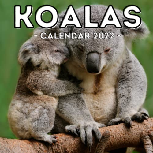 Koalas Calendar 2022: 16-Month Calendar, Cute Gift Idea For Koala Lovers Girls & Men