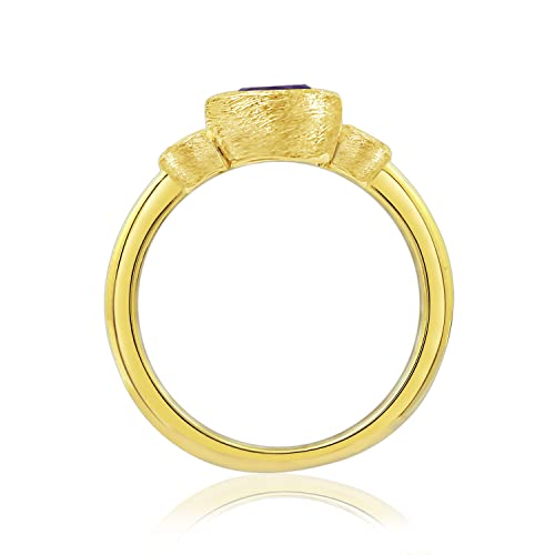 Amazon Collection Yellow Gold Plated Sterling Silver Round-Shaped Amethyst and Infinite Elements Cubic Zirconia with Textured Finish Ring, Size 7