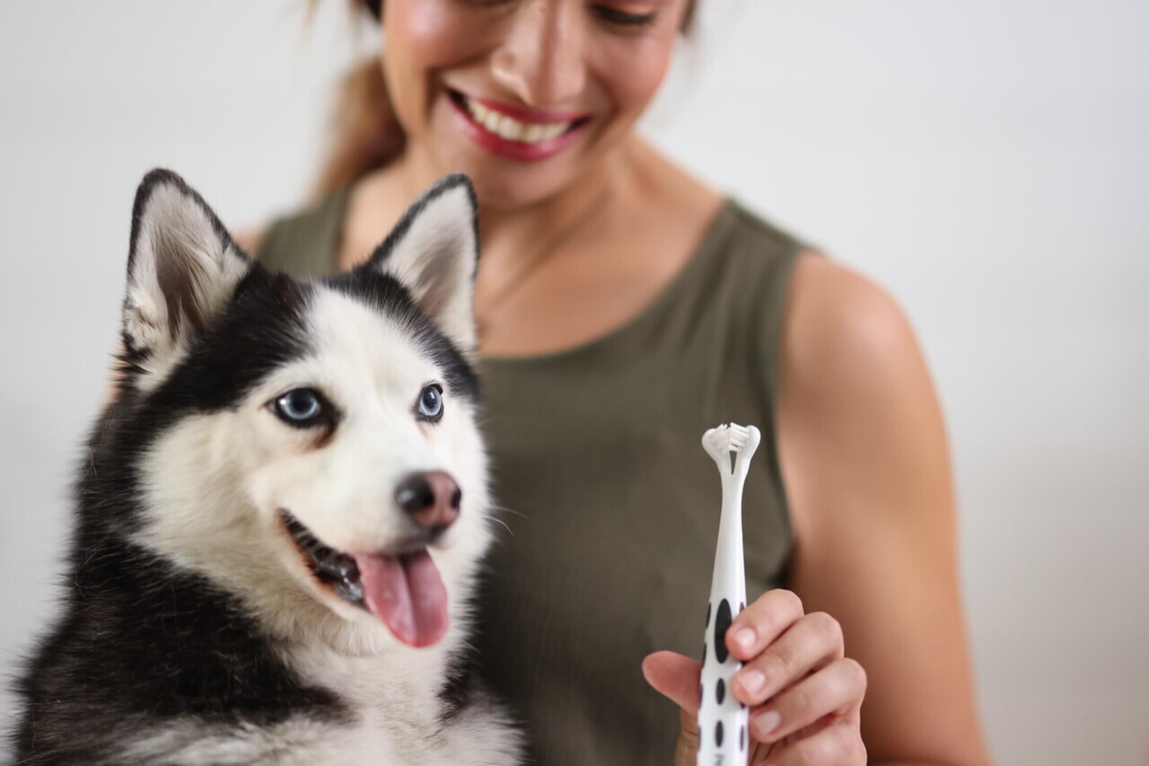Petosan Silent Power Sonic Electric Toothbrush for Dogs, Sm-Lg