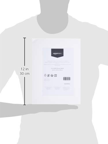 Amazon Basics Address Labels with Silver Border for Inkjet Printers, 1" x 2-5/8", 300-Pack