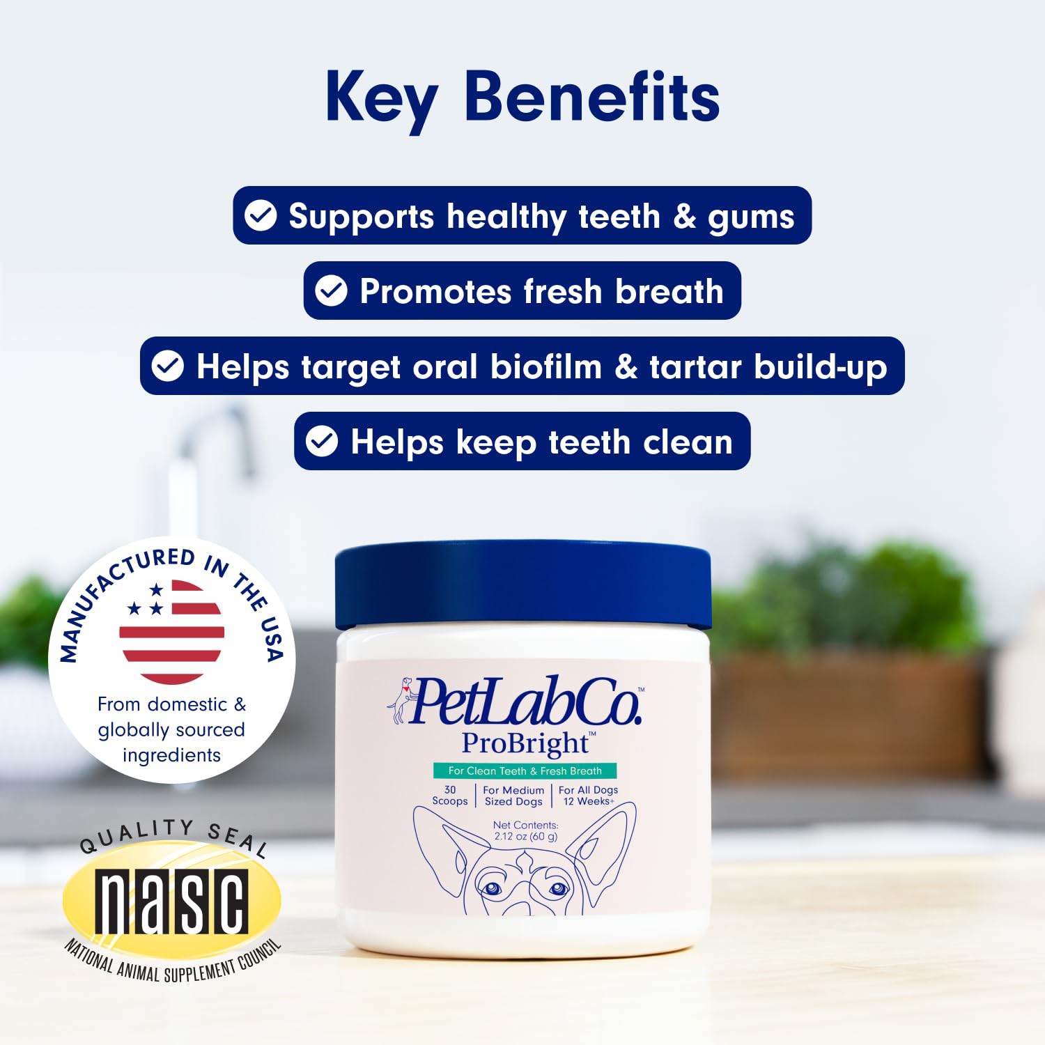 PetLab Co. – Breath & Joint Bundle: Dental Powder for an Effortless Clean in 1 Scoop for Medium Dogs & Joint Care Chews for Dogs Supporting Mobility & Occasional Joint Stiffness