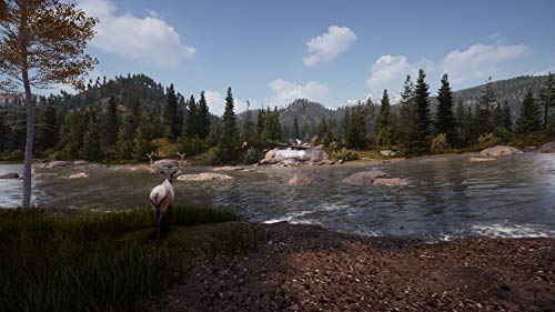 Hunting Simulator 2 (PS4) - PlayStation 4