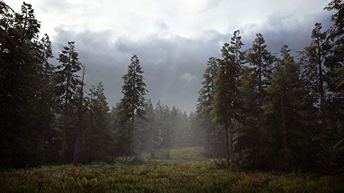 Hunting Simulator 2 - Nintendo Switch (Nintendo Switch)