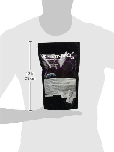 Brightwell Aquatics Xport NO3, ultra-activated denitrification media with superior performance characteristics, 300g (10.5oz)