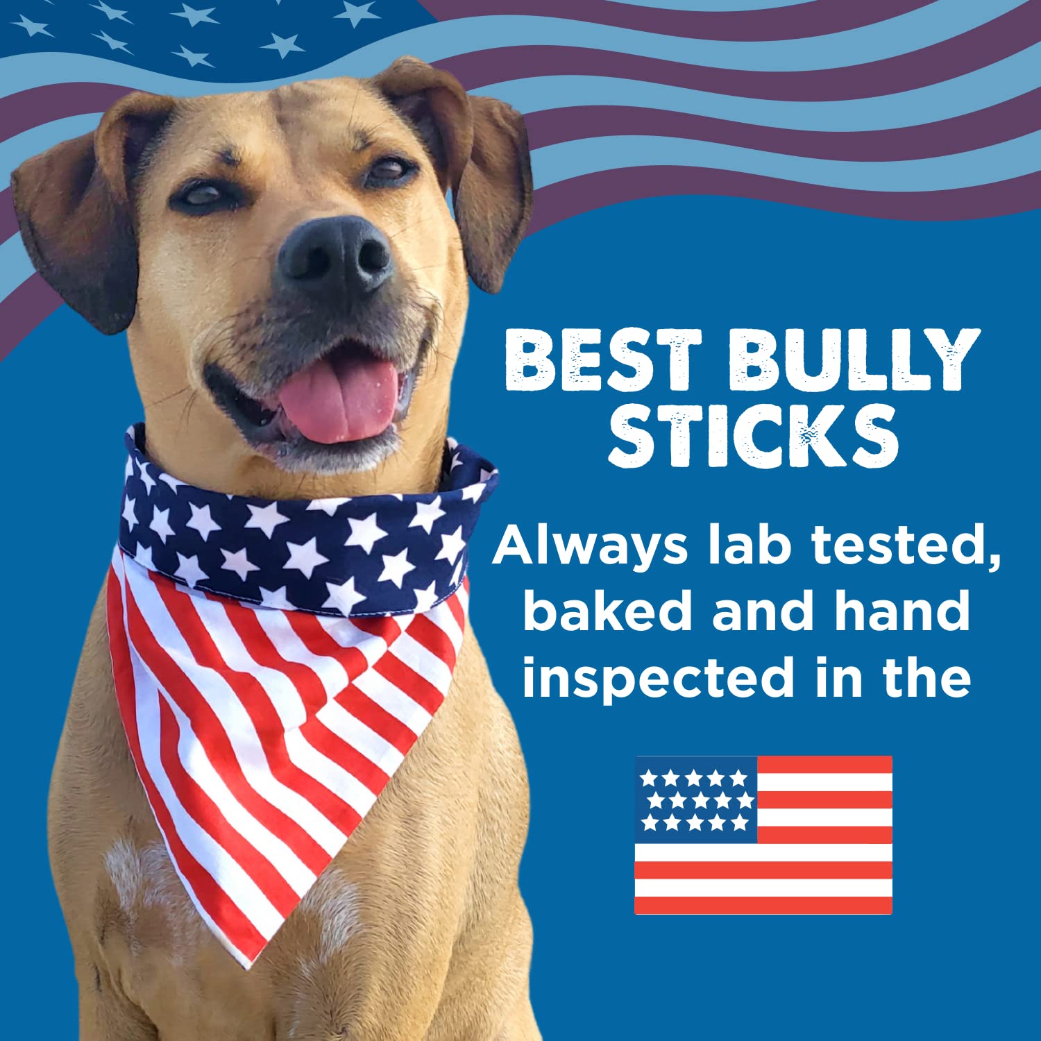 Best Bully Sticks Jumbo Bully Bites, 10 oz - All-Natural, Single-Ingredient, Rawhide Free Beef Dog Treat Chews