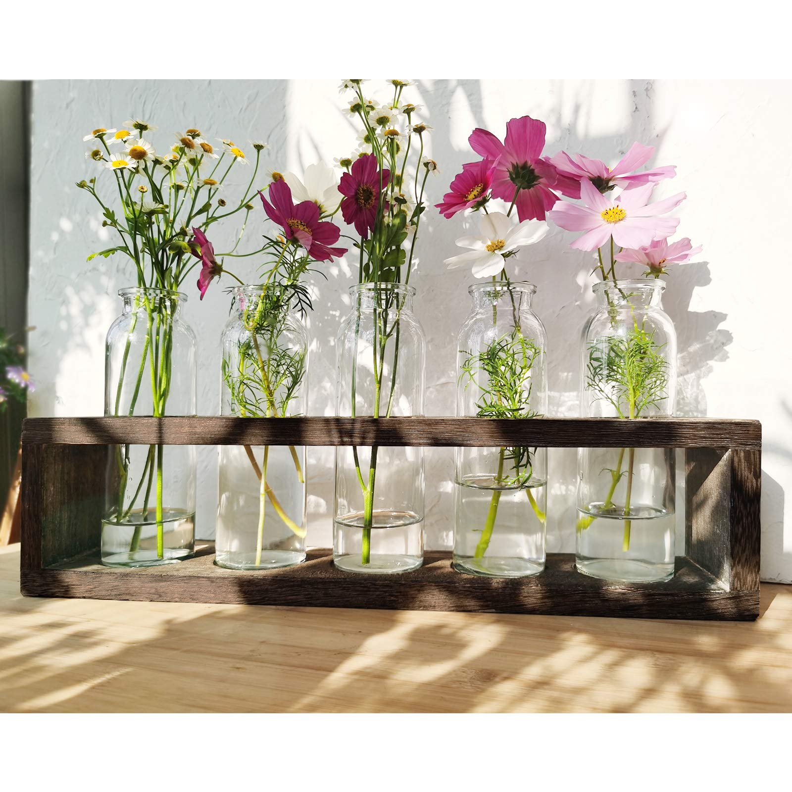 KatoonX Flower Vase Set with Wood Rack Plant Terrariums Kit for Hydroponics Plants Home Garden Wedding Centerpiece Decor (Rustic)