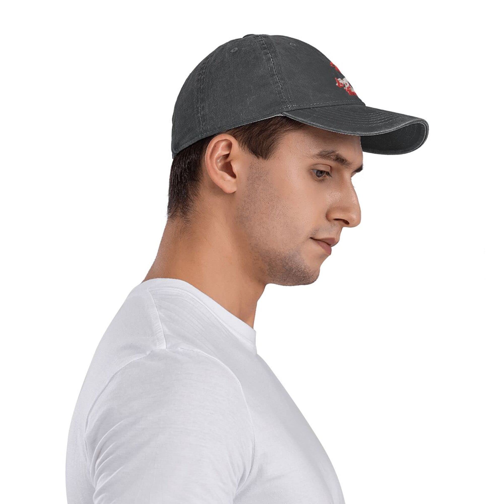 BISZANQA Red Cardinal Bird Sitting On Mountain Print Hat,Black Baseball Cap for Unisex Adult Denim Hats, Medium-Large