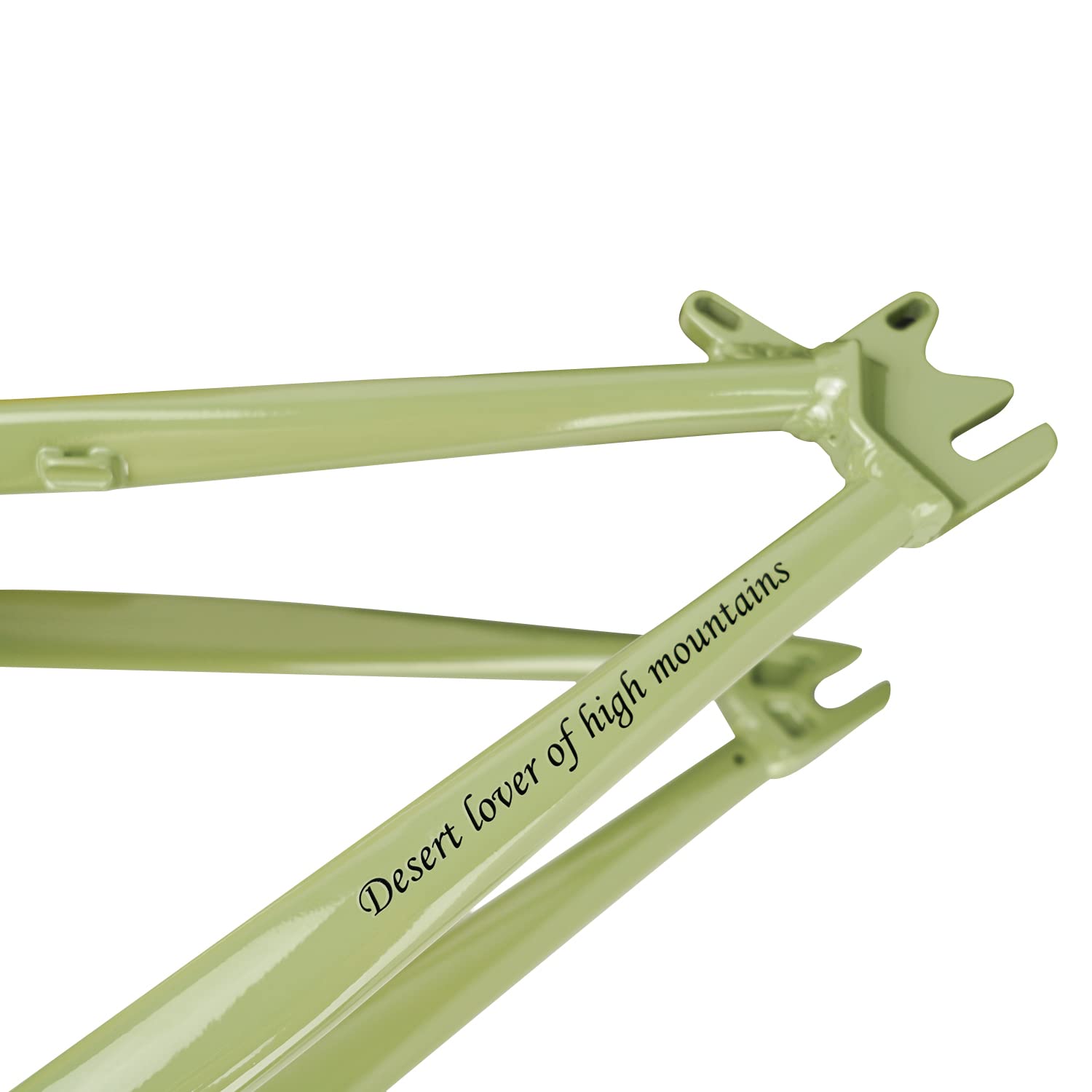 ALAUDARK Lark DJ Dirt Jump BMX Bike Frame 26" Mountain Jumper Bicycle Slopestyle Single Speed