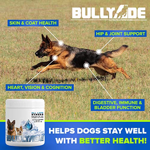 Bullyade Natural Dog Supplement with 18 Vitamins & Minerals. Mixes with Water or Food. (Beef)