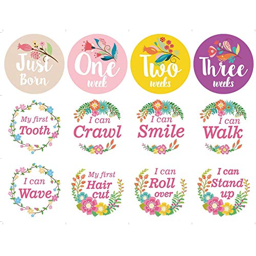 Baby Monthly Stickers Floral Picture Props