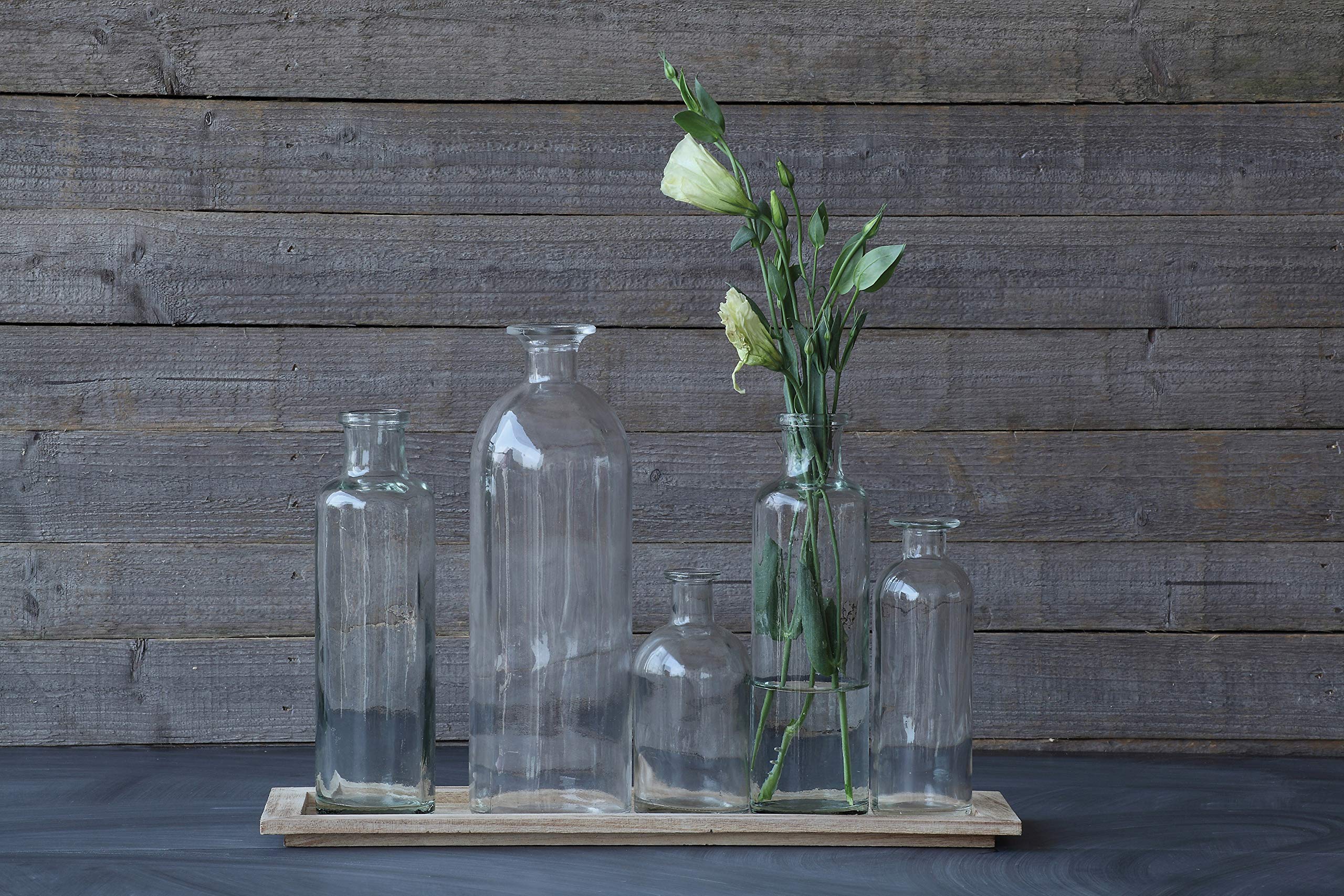 Creative Co-Op Set of 5 Vintage Bottle Vases on Wood Tray