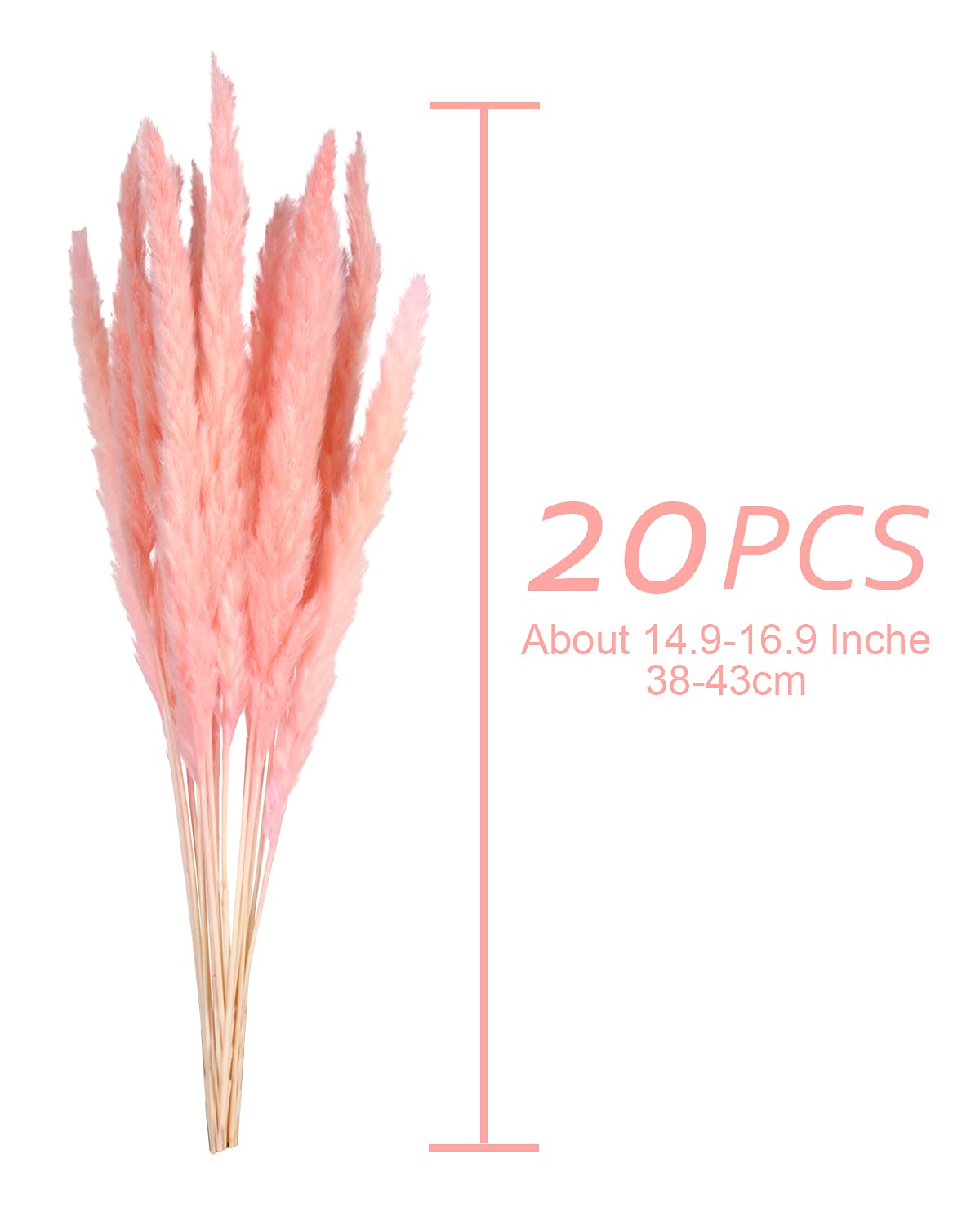 Omldggr 20 Pieces Natural Dried Pampas Grass Natural Dried Flowers Dried Reed Grass for Home Garden Office Party Wedding Decor(Pink)