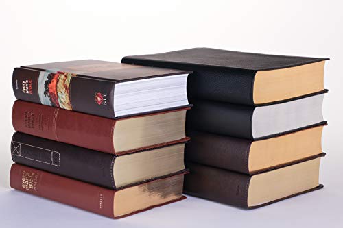 Every Man's Bible: New Living Translation, Large Print, TuTone (LeatherLike, Brown/Tan) β Study Bible for Men with Study Notes, Book Introductions, and 44 Charts
