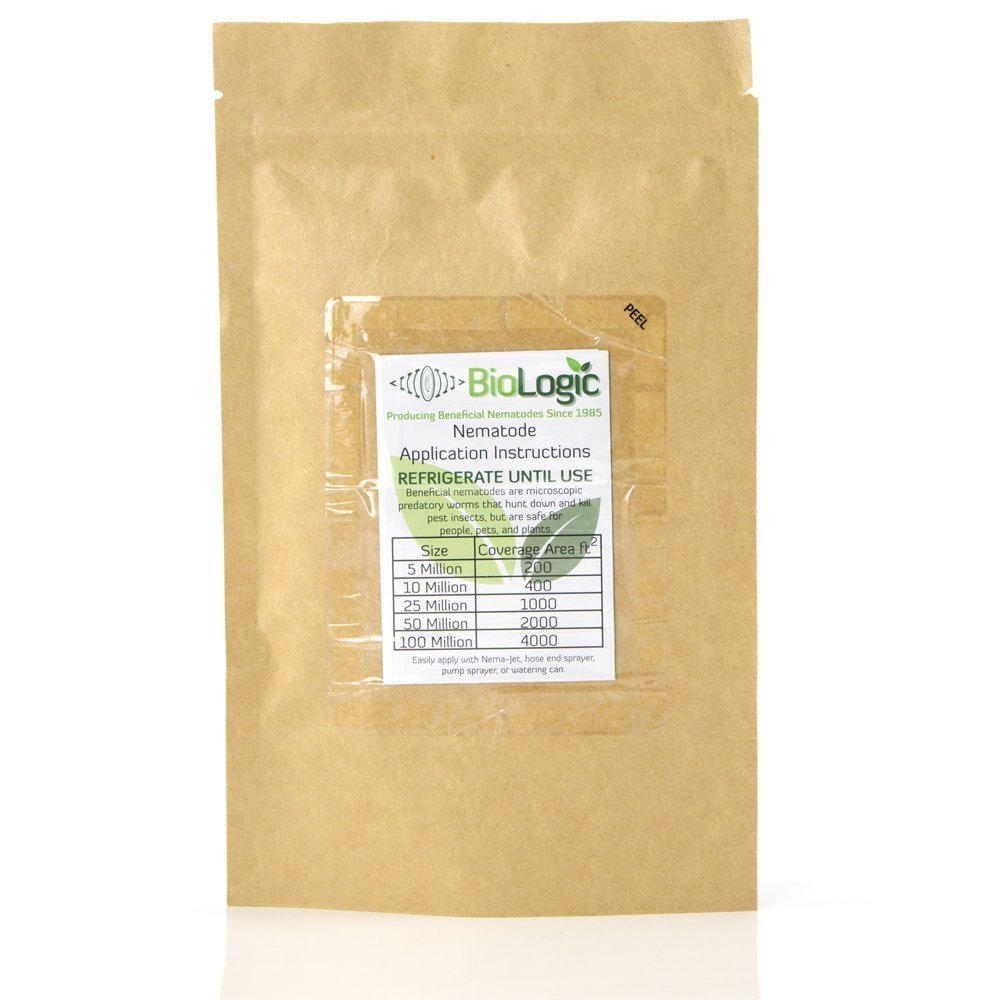 BioLogic's Scanmask Beneficial Nematodes, Steinernema feltiae Sf Nematodes for Natural Insect Pest Control (50 Million with Applicator)