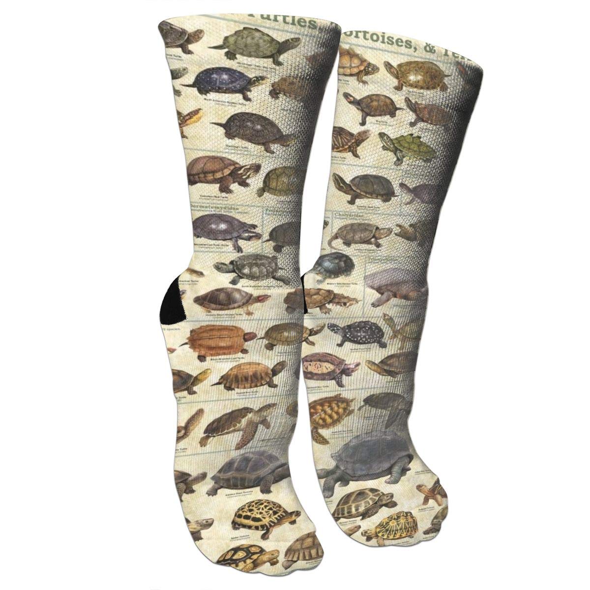 antkondnm Turtles an Tortoises Men's Cushion Crew Socks Athletic Running Socks Men Cotton Sport Wicking Work