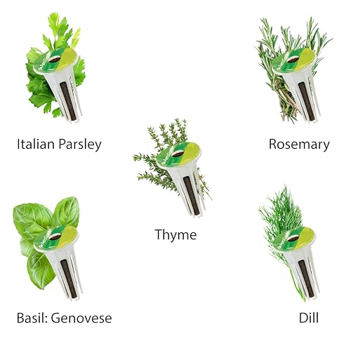AeroGarden Custom Herb Seed pod Kit, Choose Your Own Herb Seeds to Create Your Own AeroGarden Herb Garden, 6-Pod