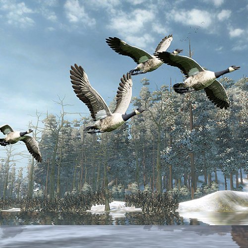 Cabela's Outdoor Adventure '10 - Playstation 3