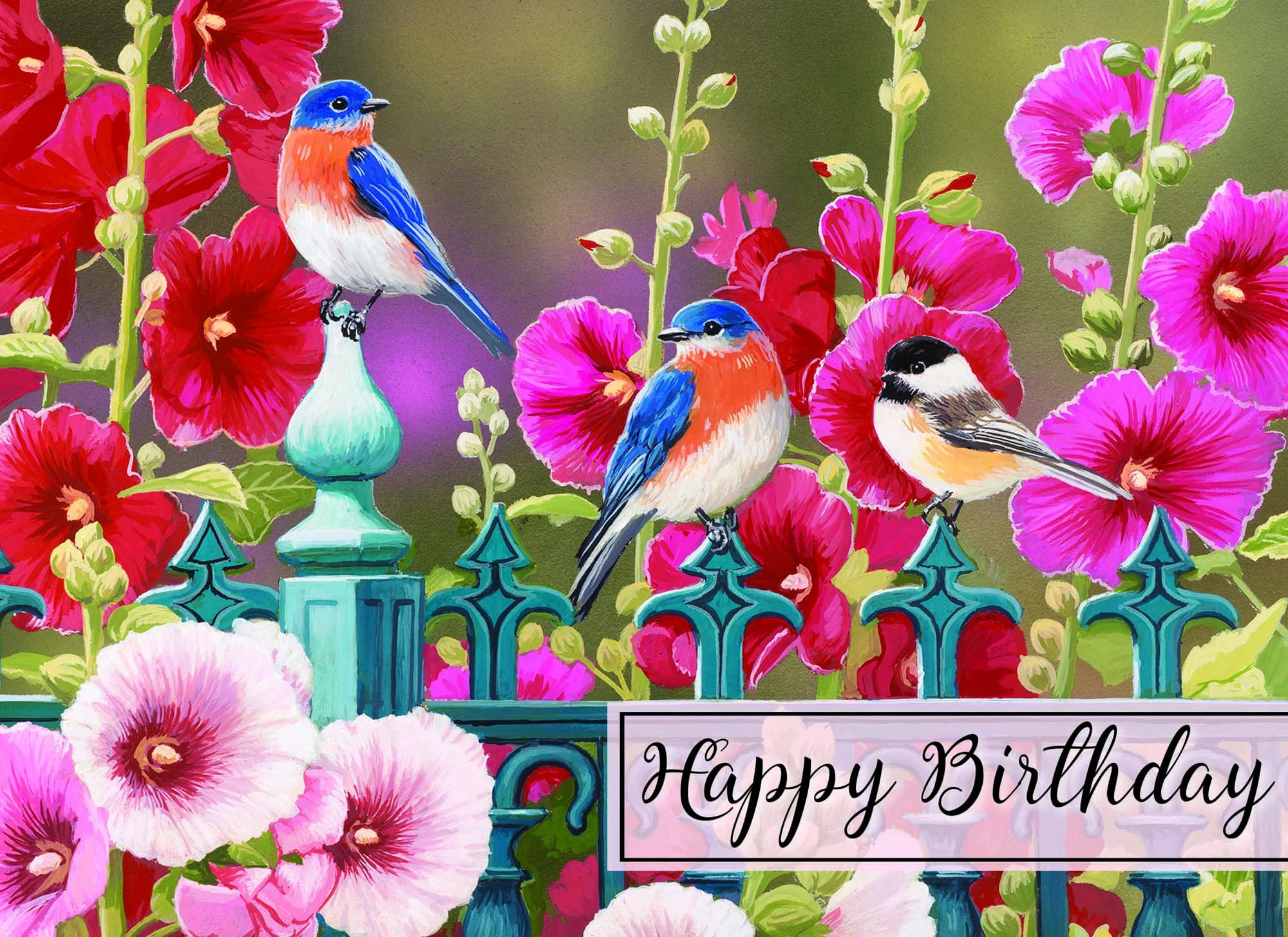 Crown Point Graphics Shared Blessings Birthday Birds 12 Boxed Birthday Cards, Beautiful Birds with KJV Scripture, Art by William Vanderdasson