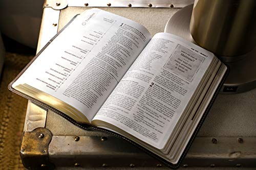 Every Man's Bible: New Living Translation, Deluxe Explorer Edition (LeatherLike, Brown) β Study Bible for Men with Study Notes, Book Introductions, and 44 Charts