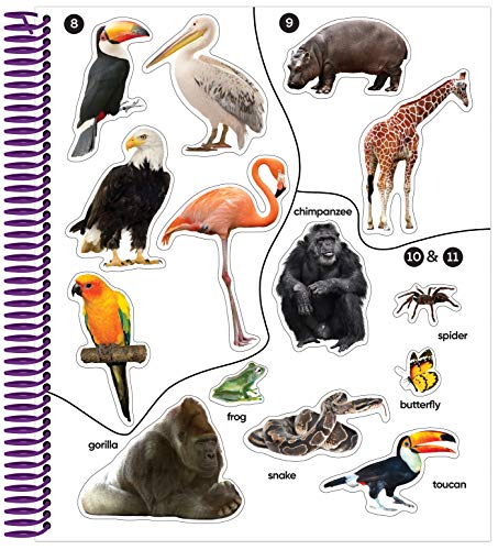 Brain Games - Sticker by Number: Safari Animals (For Kids Ages 3-6): A Kid's Sticker Activity Book With More Than 150 Stickers!