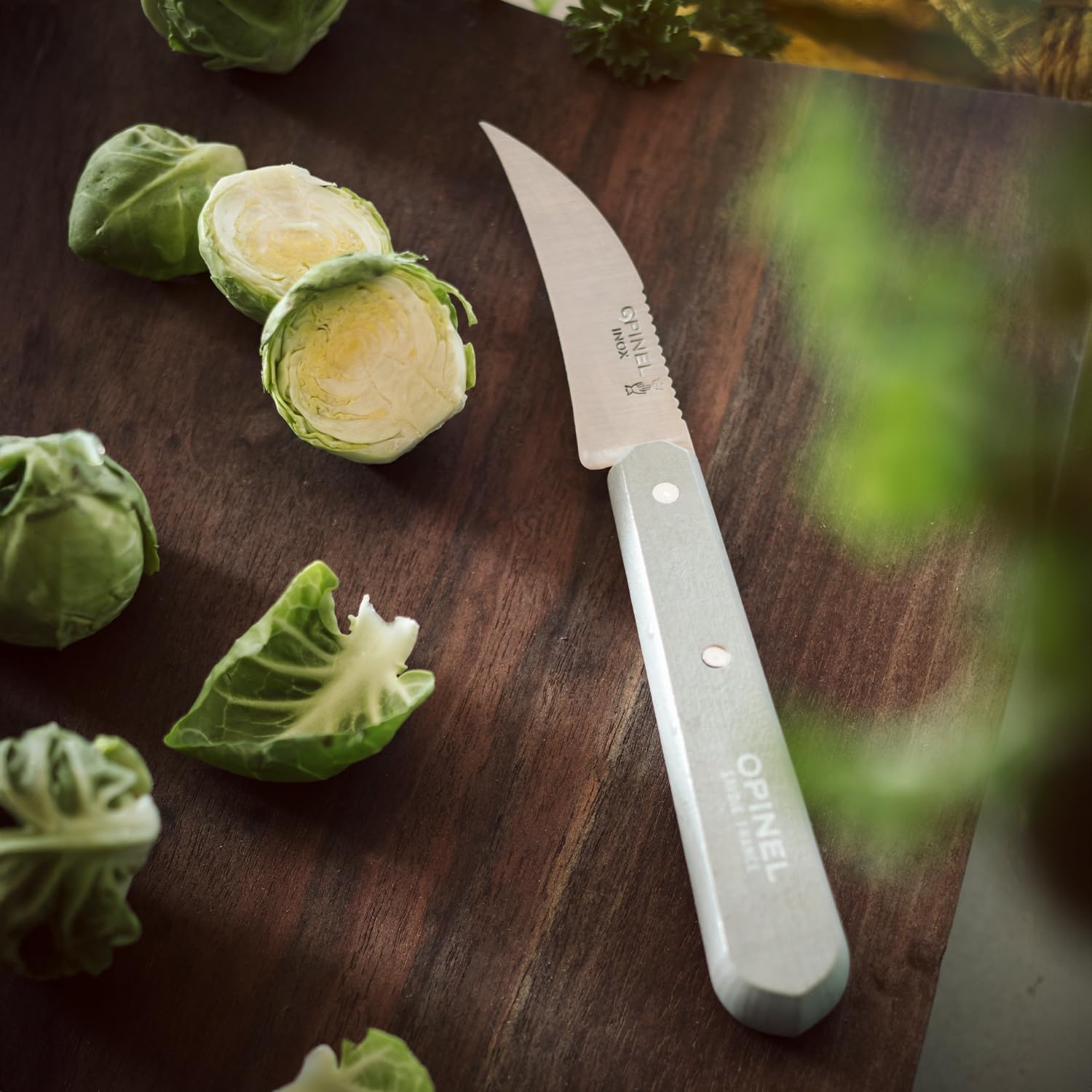 OPINEL Essential Single Kitchen Knife, Cooking Tool Bird's Beak Knife, Veggie Knife, Painted Hornbeam Wood Handles, Made in France (No. 114, Blue)