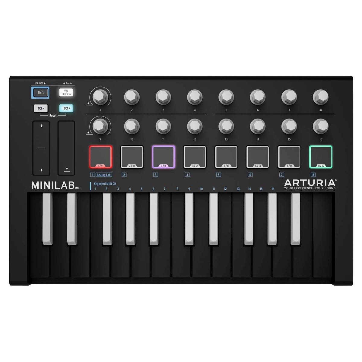 Arturia MiniLab MKII MIDI Keyboard Bundled with Arturia Minifuse 2 USB Audio Interface, 2 USB Cables & Polishing Cloth- MIDI Interface Music Recording Equipment, Software Included (BLACK MIDI)
