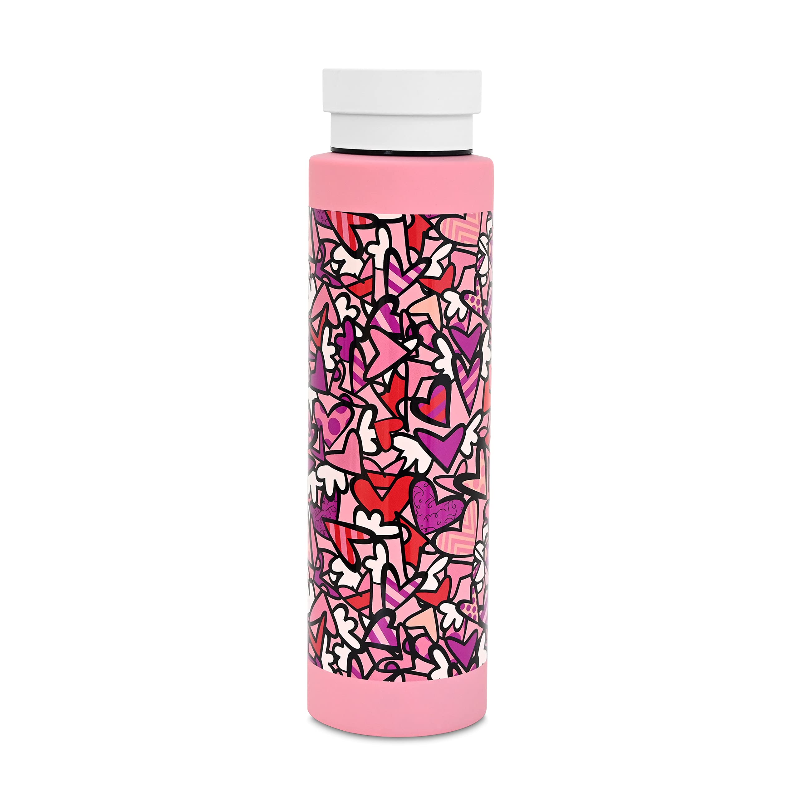 BRITTO Romero 25oz Insulated Water Bottle, Stainless Steel, Alive - Pink'