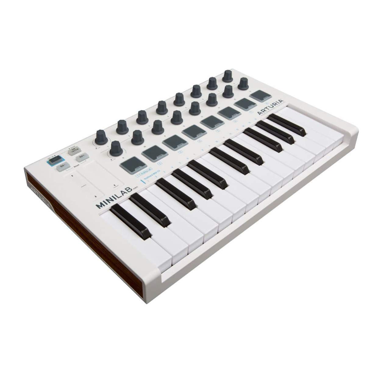 Arturia MiniLab MkII 25 Slim-Key Controller Bundle with 3.0 4 Port USB Hub (2 Items)