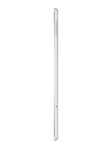 Apple iPad Mini 5-64GB - WiFi + Cellular - Silver (Renewed Premium)