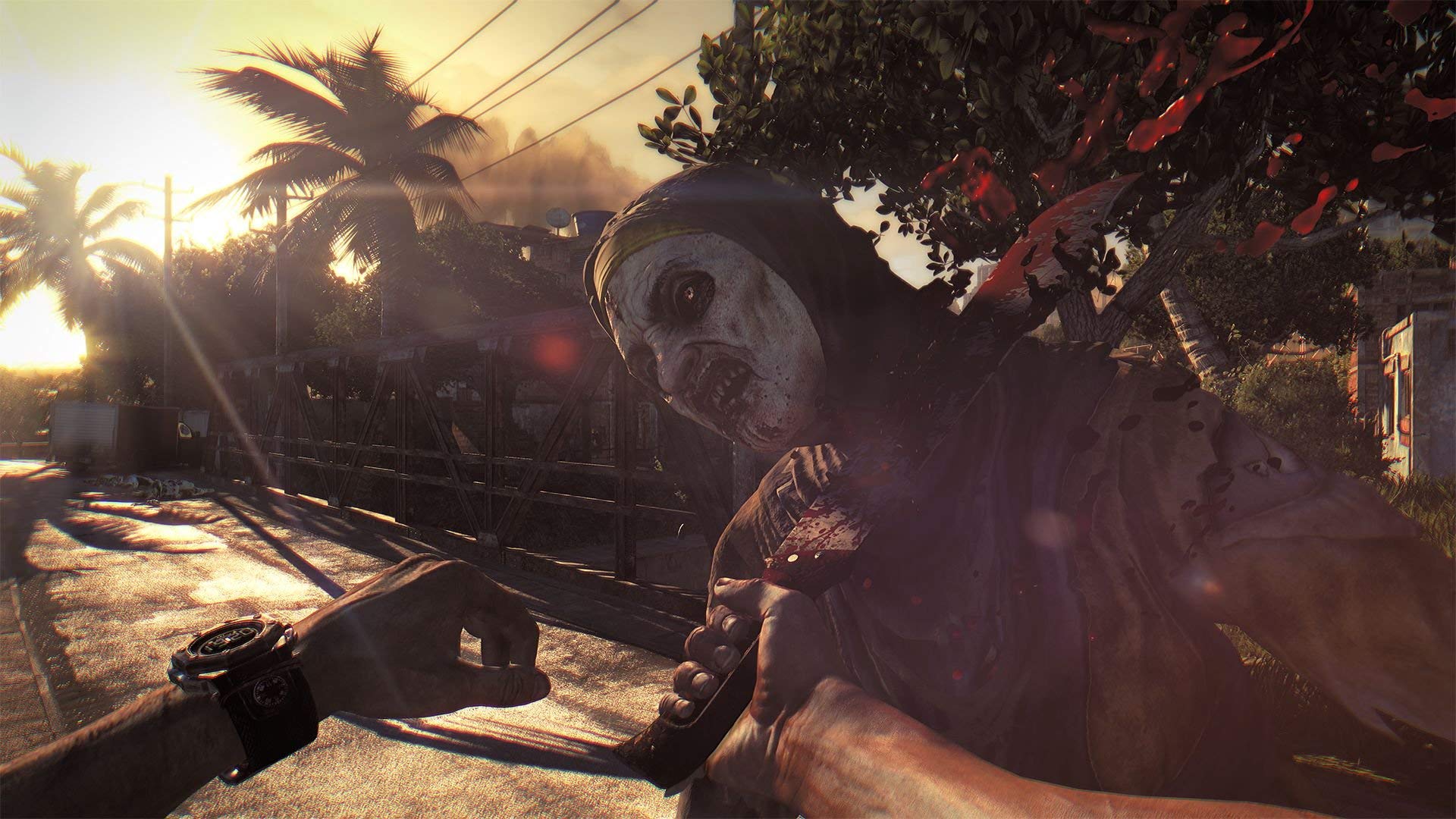 Dying Light - PlayStation 4 (Renewed)