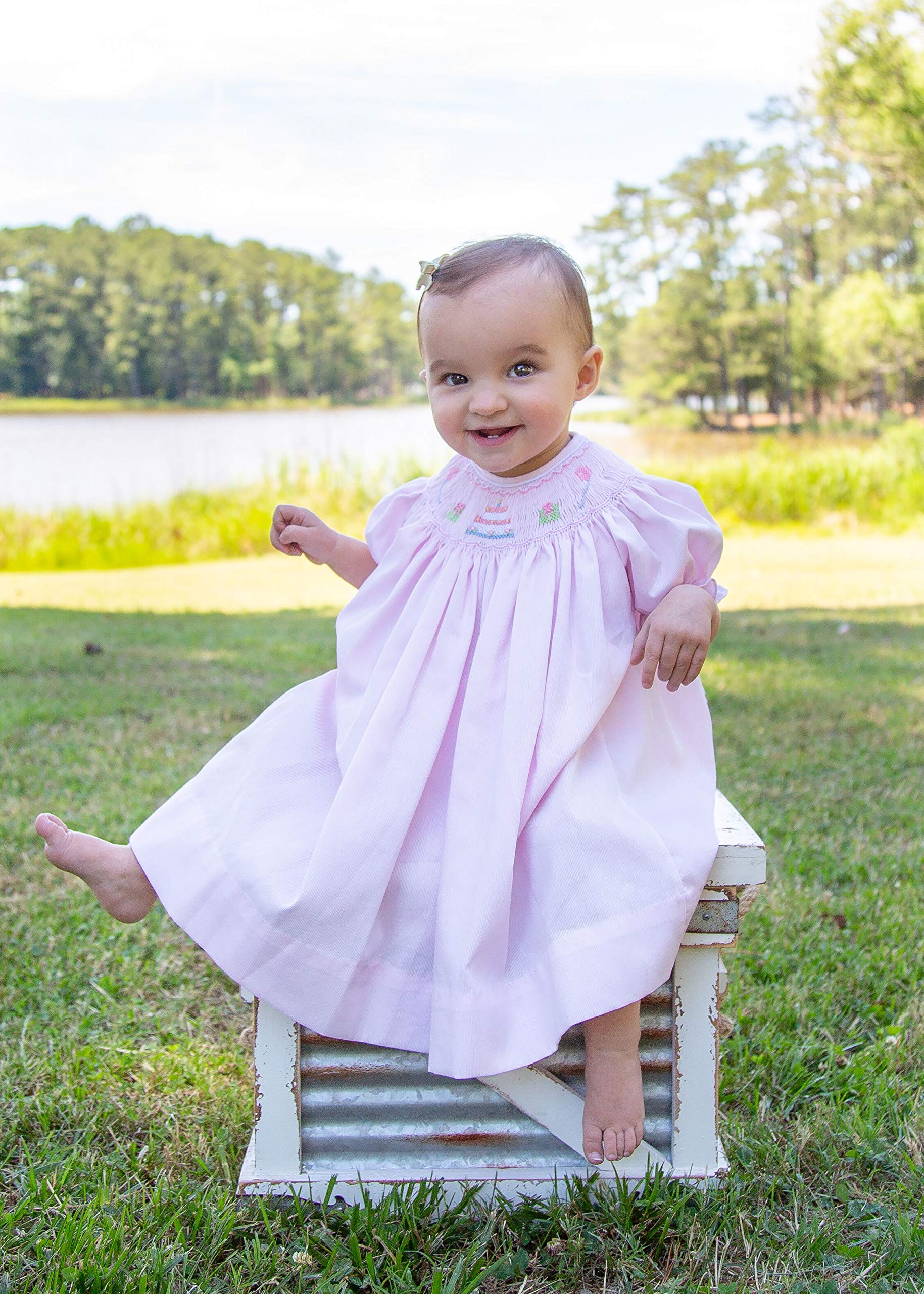 Petit Ami Baby Girls' Birthday Smocked Dress, 24 Months, Pink
