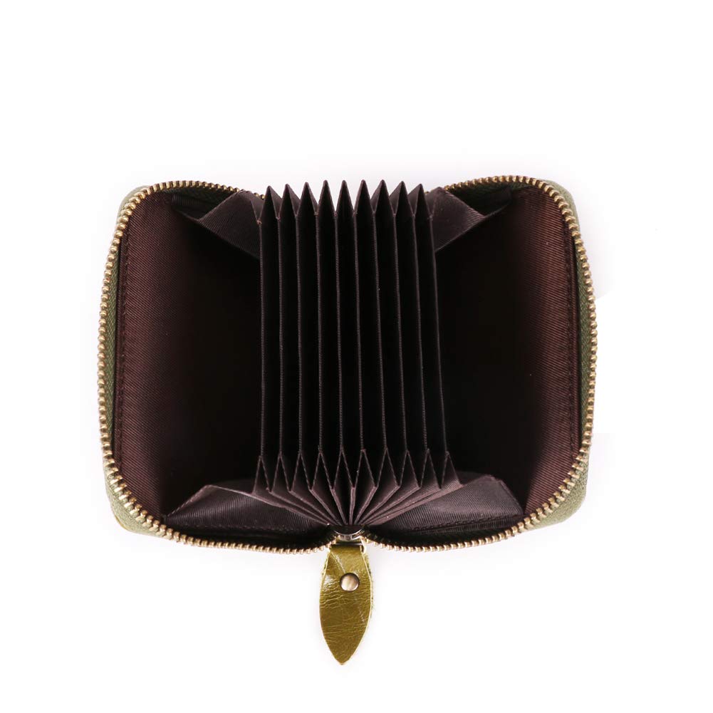 Earnda Credit Card Holders RFID Leather Small Wallet for Women Zipper Coin Purse Compact Card Cases Green