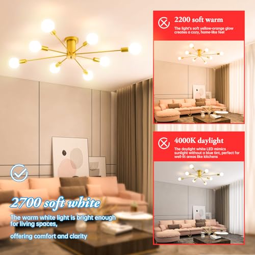Brighfivey Frosted LED Globe Light Bulb, Warm White 2700K CRI 90, 600LM 6W E26 Medium Base, Light Bulbs 60 Watt Equivalent G30/G95 Dimmable Edison Bulb, 1 Pack