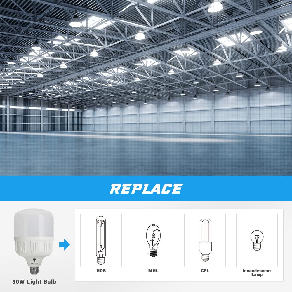 Bluex Bulbs Corn Bulb 30W 5000K 2 Pack BlueX 250W Bulb - 300W Bulb Equivalent, 30W LED Corn Light Bulb Cool White 5000K E26 Base 3000 Lumens 300 Watt Light Bulb