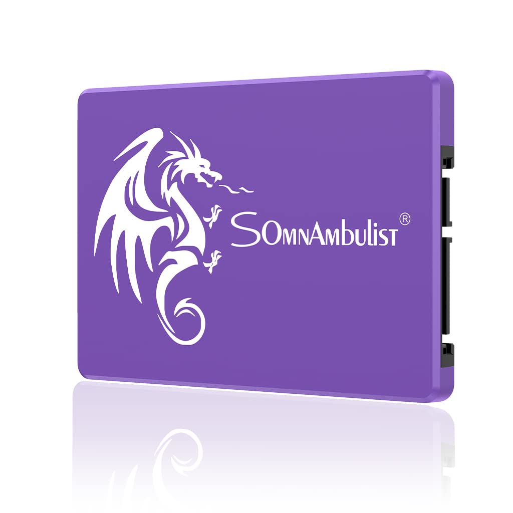 Somnambulist Internal Hard Drive SSD 60GB 120GB 240GB 960GB 2TB SATA3 2.5 inch SSD 480GB SSD (Purple Dragon 240GB)