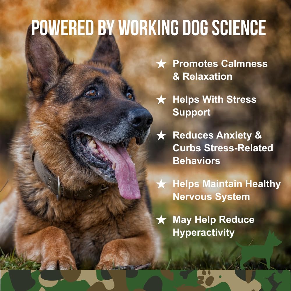 O.G.B. Operation Good Boy - SRE: Calming Supplement for Pets - 90 Count Soft Chews - 12.7oz - Alleviates Anxiety and Promotes Relaxation - Made Natural Ingredients - Veteran Owned