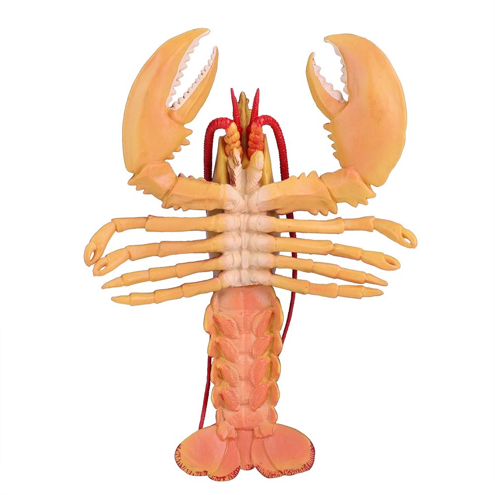 GLOGLOW Lobster Model, Artificial Lobster Seafood Model Simulation Lobster Model Plastic Lobster Decorations for Home Party Decoration Display Kids Toy(Dark-Australian Lobster, 9 in)