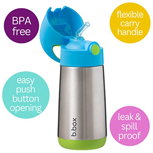 b.box 12 oz Insulated Drink Bottle | Keeps Drinks Cold up to 8 Hours, Warm up to 6 Hours | Double Wall Stainless Steel (Ocean Breeze, 12 oz)