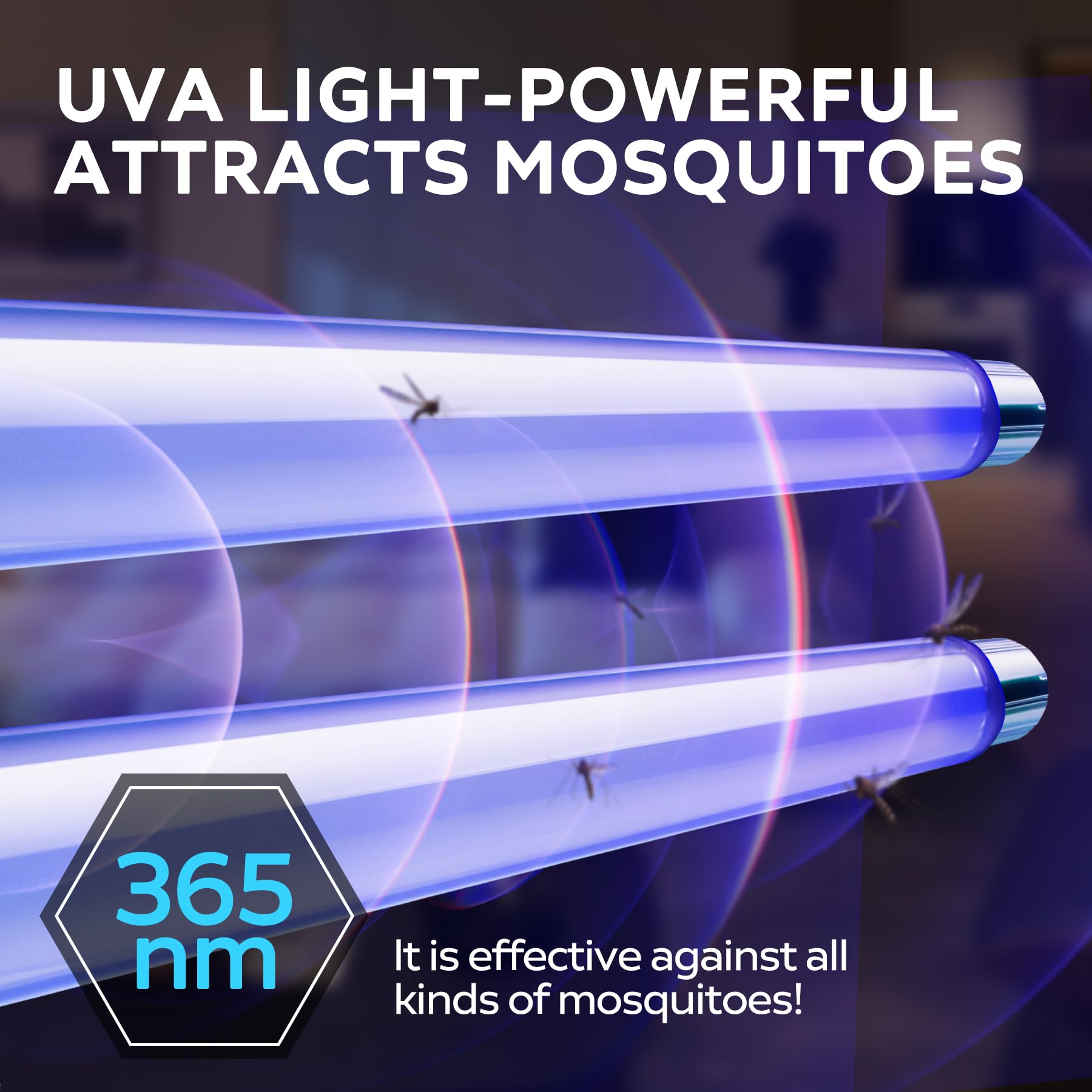 Bug Zapper Indoor, Electronic Fly Zapper Lamp, Non-Toxic, Silent Insect Mosquito Killer, Fly Killers Indoor for Home Use
