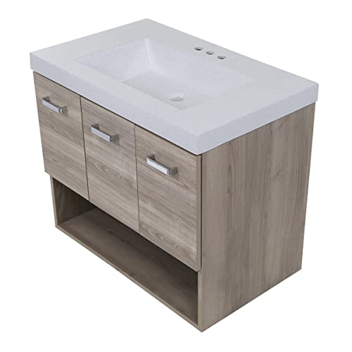 Spring Mill Cabinets Inna Floating Bathroom Vanity with 2-Door Cabinet, Drawer, Open Shelf, and White Sink Top, 30.5" W x 18.75" D x 26.27" H, Forest Elm