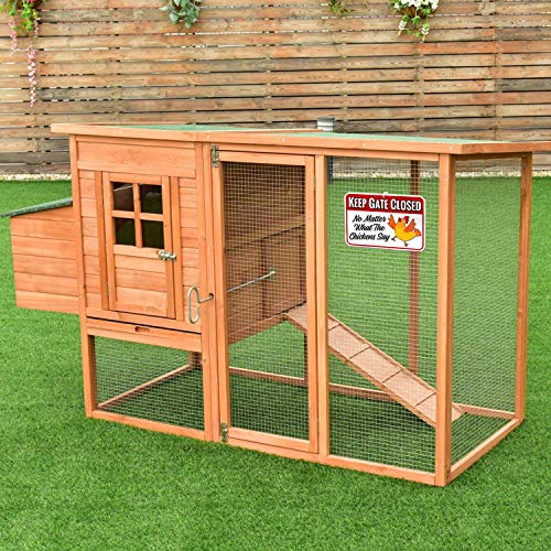 Bigtime Signs Keep Gate Closed - No Matter What The Chicken Say | PVC Chicken Decor 9x12''-Christmas Chicken Yard Decorations Chicken Coop Accessories-Chicken Gifts for Chicken Lovers