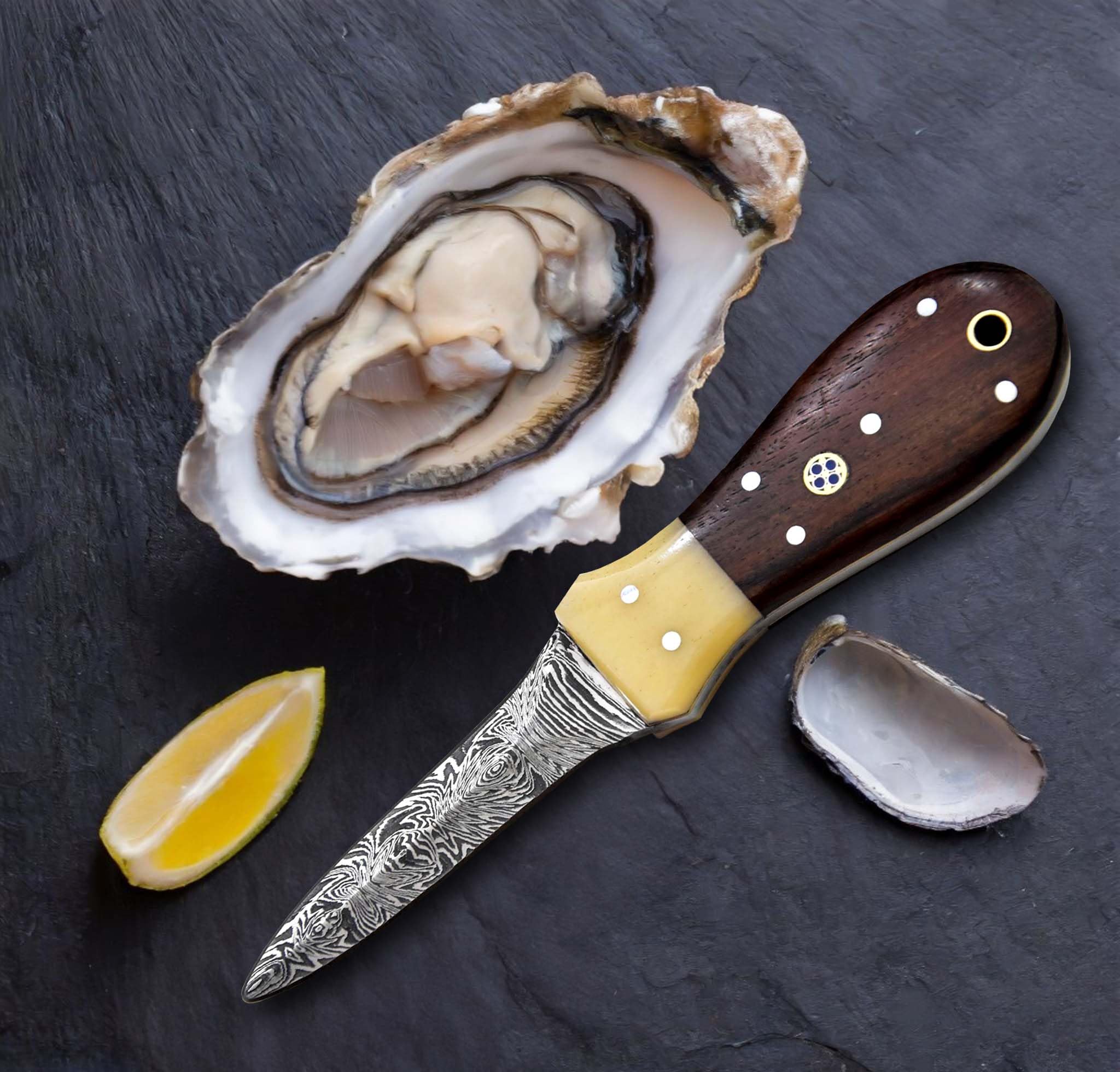 Premium Oyster Shucker Knife Oyster Knife Damascus Steel Clam Knife Resin Handle Leather Sheath Seafood Opener Kit Tool Non Slip Handle (Resin Handle)