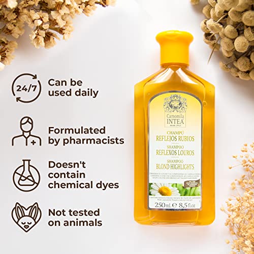 Intea Chamomile Shampoo - Premium Blonde Brightening Shampoo - Non-Ammonia, Easy Application for Natural or Dyed Hair - 8.5oz