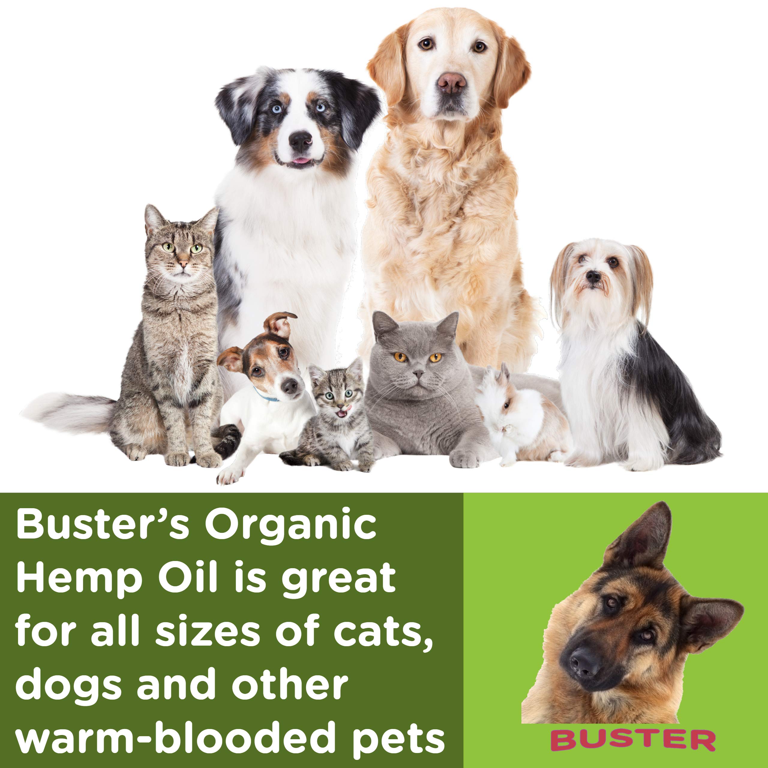 Busters Hemp Oil for Dogs, 3Pack, Calming, Pain Relief for Dogs and Pets, Advanced Mobility Support